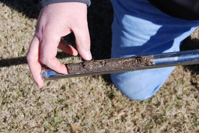 Soil Testing Post – Hand with Soil Sample – Gardening With Skip